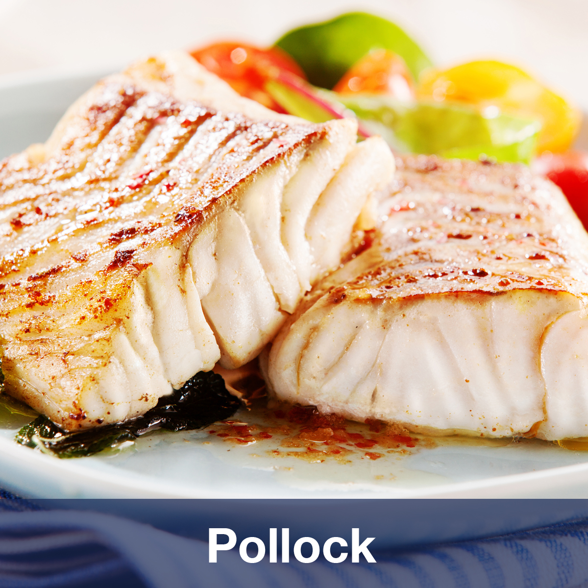 Pollock - The Fishin' Co.